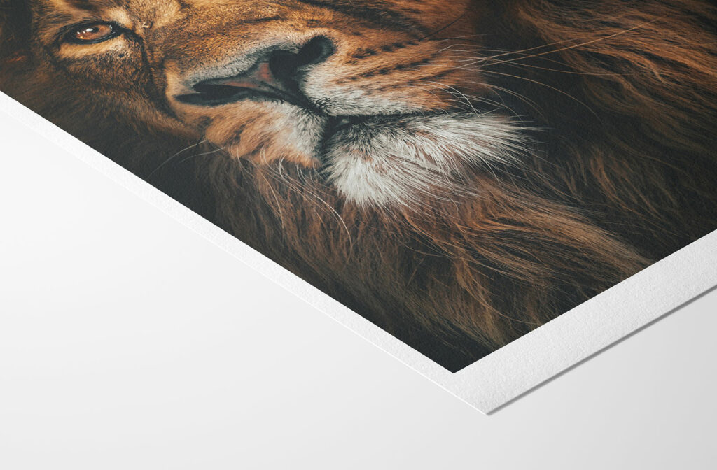 Choosing The Right Fine Art Paper For Your Print - Fine Art Printing